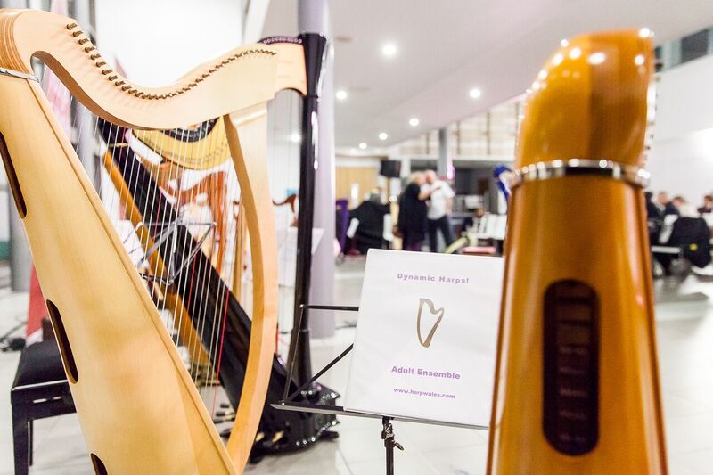 Repertoire – Dynamic Harps